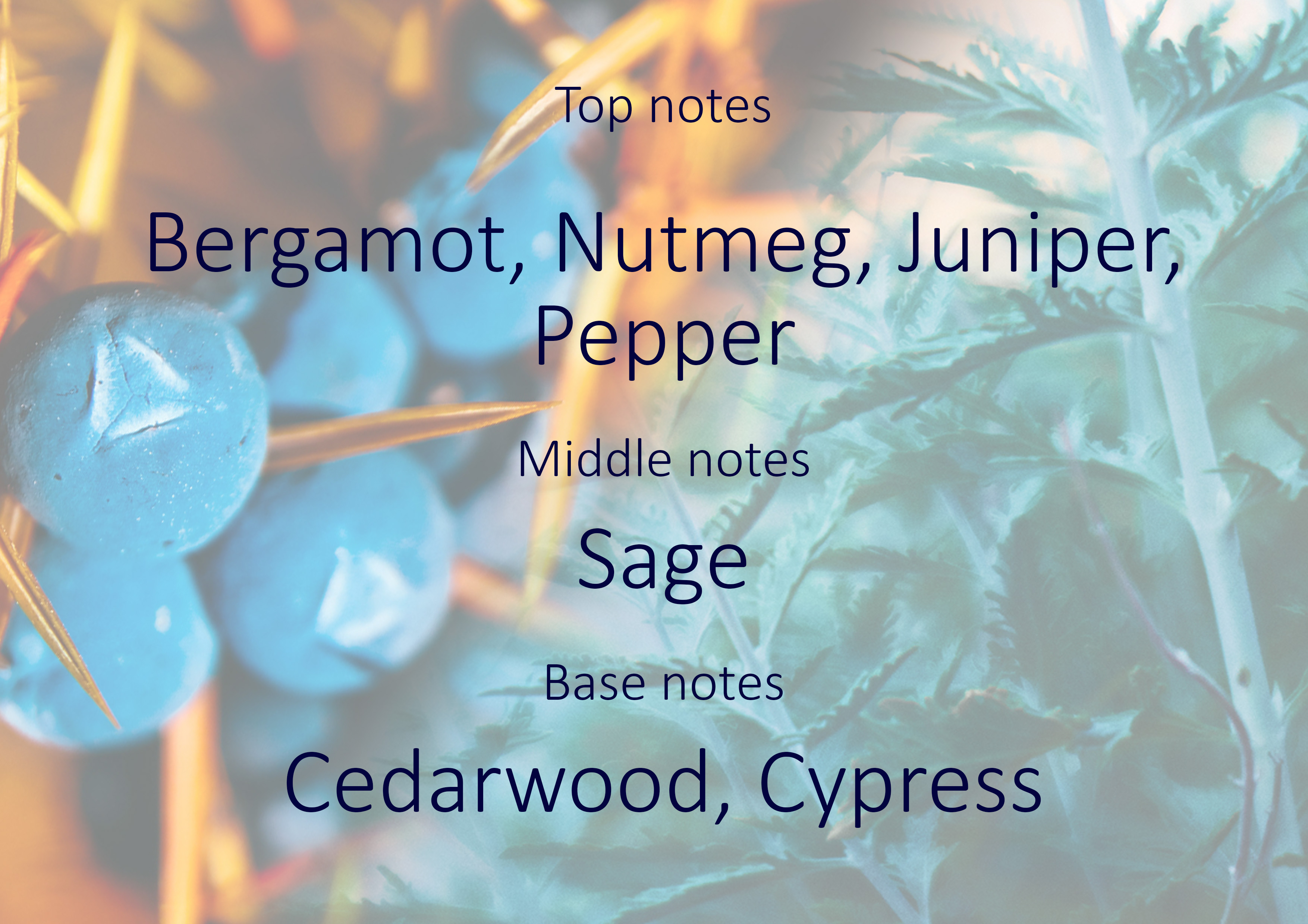 Fragrance trends – Juniper and purple sage pyramid – A Swiss Fragrance ...