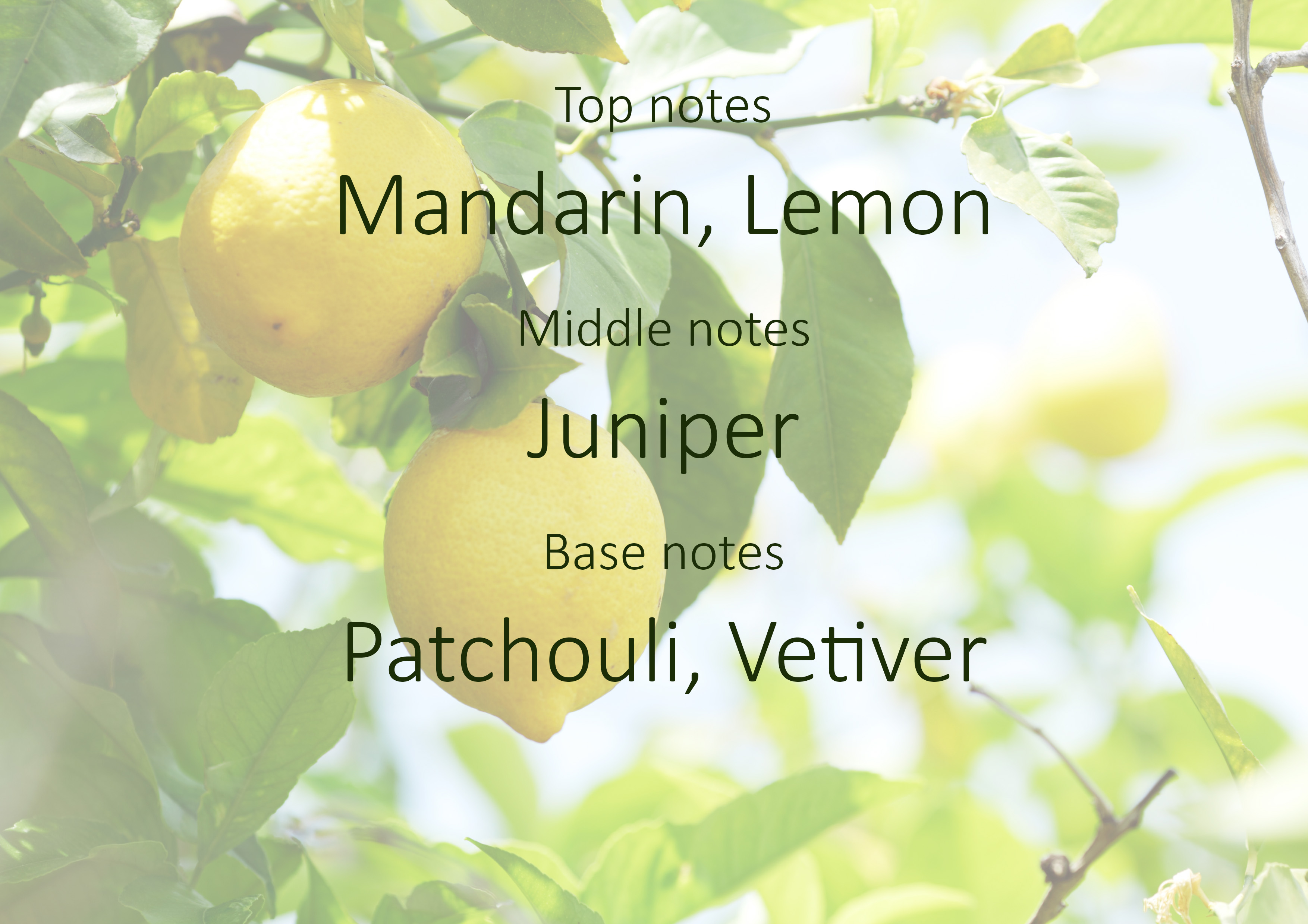 Fragrance trends – Lemon pyramid – A Swiss Fragrance House