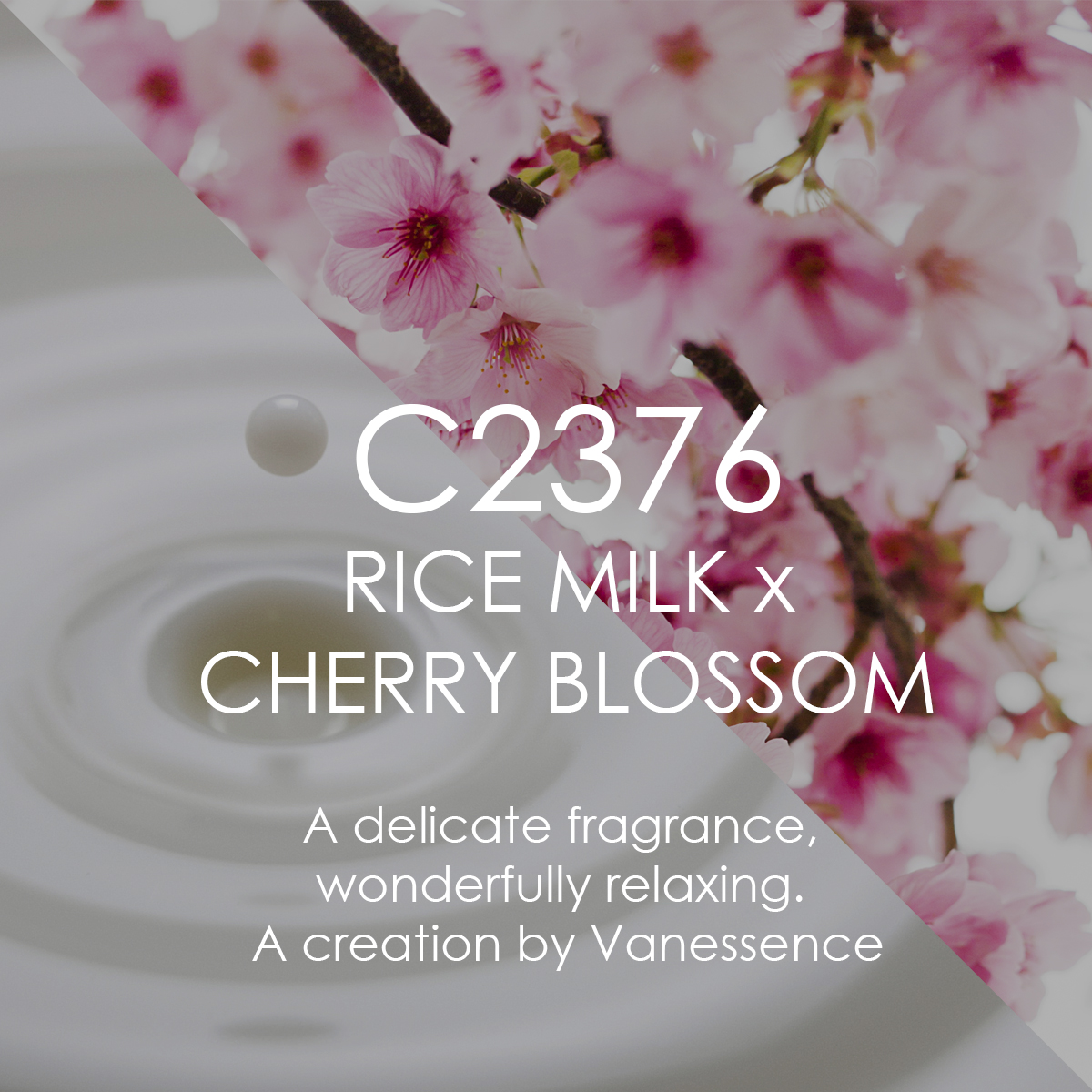 RICE MILK X CHERRY BLOSSOM – A Swiss Fragrance House